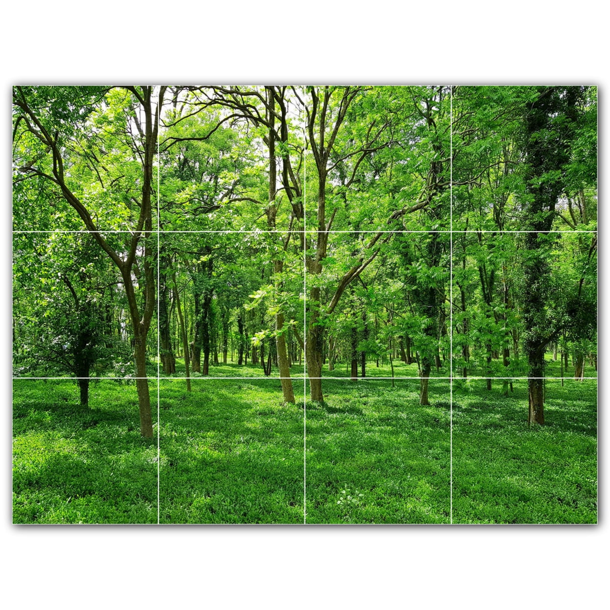 Picture-Tiles.com: Trees Ceramic Tile Wall Mural WAL501005-43M. 24"W x ...
