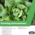 Harris Seeds Newham MTO Organic Little Gem Lettuce, Sweet Dark Green ...