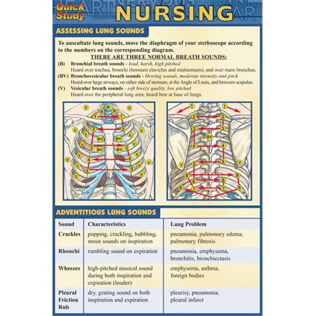 BarCharts- Inc. Nursing Guide - Laminated Quick Reference with Analysis ...