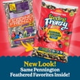Pennington Feeding Frenzy Cardinal and Songbird, Wild Bird Food Blend ...