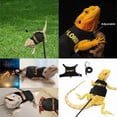 Bearded Clothes With Leash Set For Small Pig - Outdoor Walking Harness ...