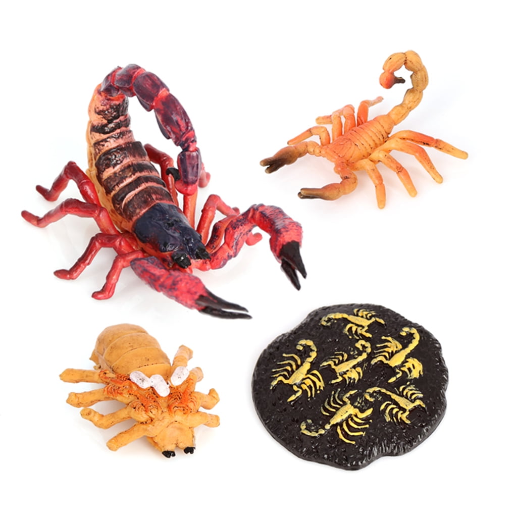 TureClos 1 Set Life Cycle Toy Household Simple Simulation Model ...