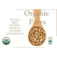Organic Italian Pearled Farro - Raw, Non-GMO, Vegan, Bulk, Protein ...