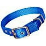 Hamilton 1" Double Thick Nylon Deluxe Dog Collar, 24" long, Blue ...