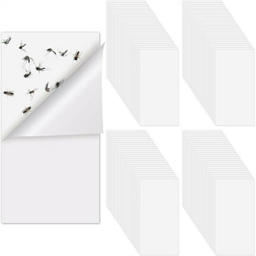 Flying Insect Trap, Fly Trap Captures Fruit Flies, Gnats and Houseflies ...