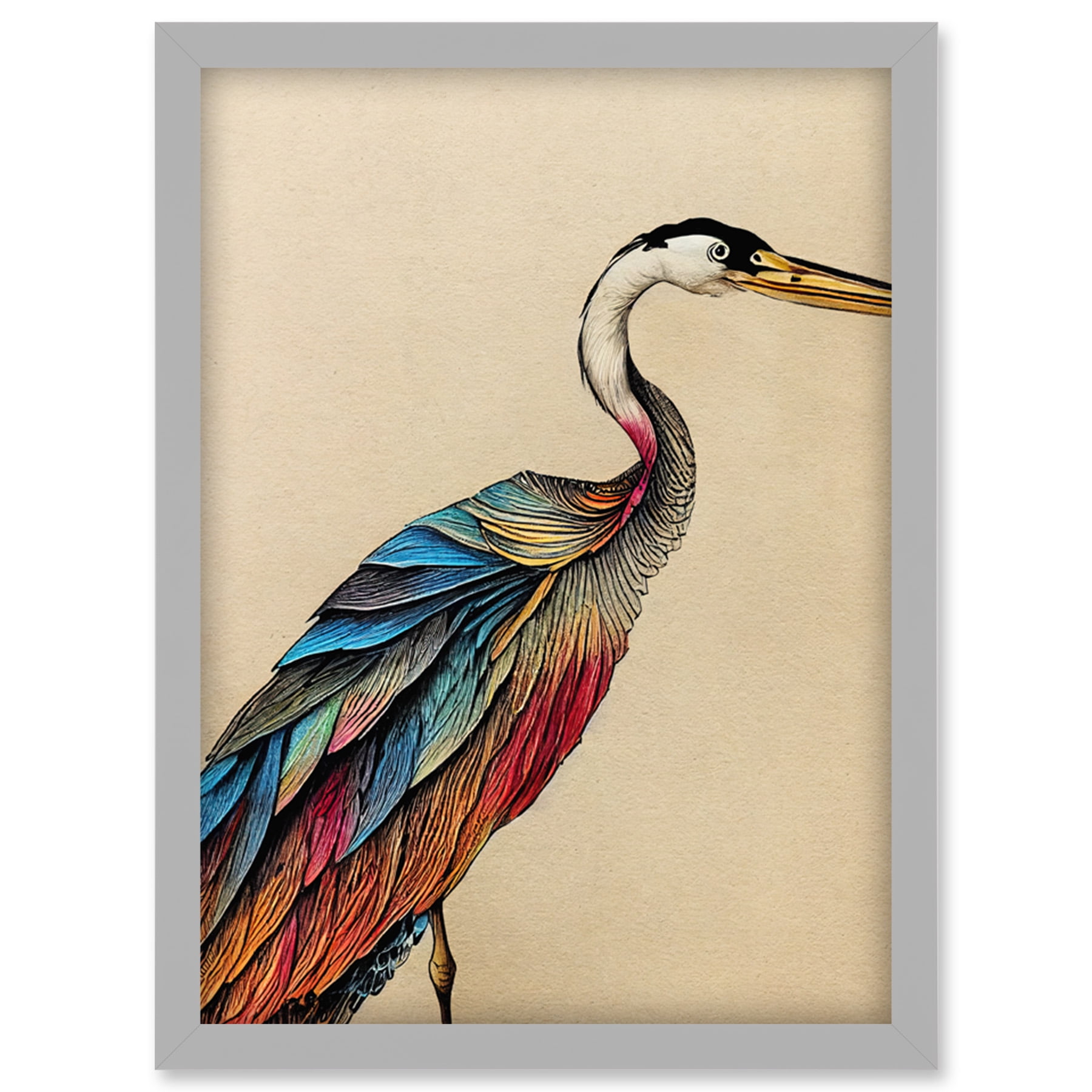 Rainbow Heron Bird Detailed Plumage Feathers Illustration Artwork ...