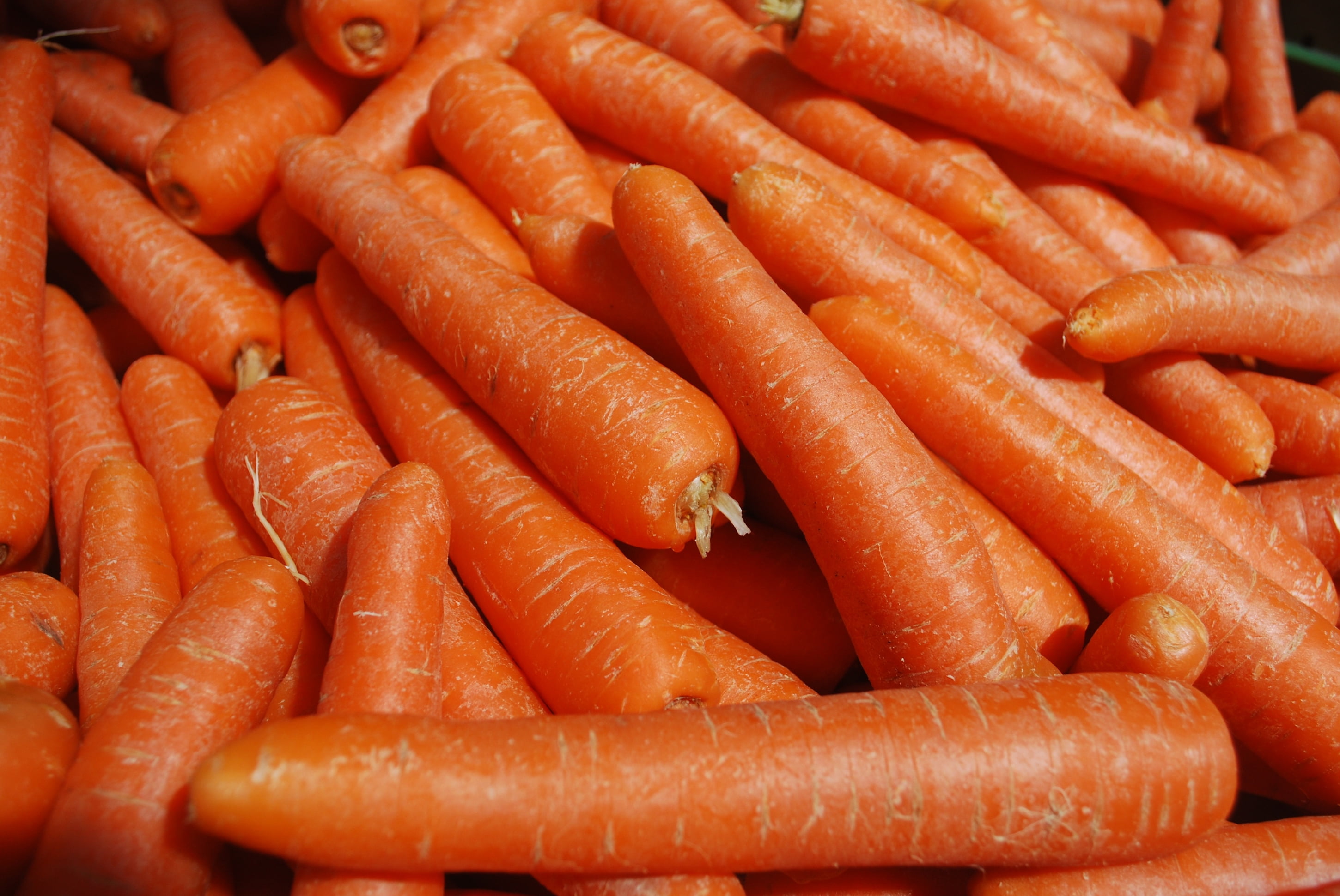 Vegetable Seeds - Kuroda Carrot-500 Heirloom Seeds - Walmart.com