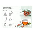 BIRGIT's Cancer Bush Tea (Sutherlandia Frutescens) - Immune Support ...