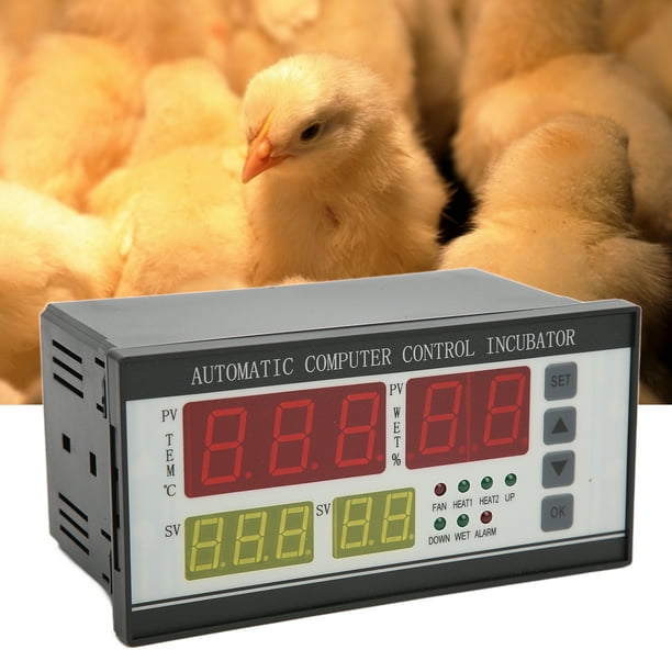 Egg Controller Incubator, Humanized Egg Temperature Controller ...