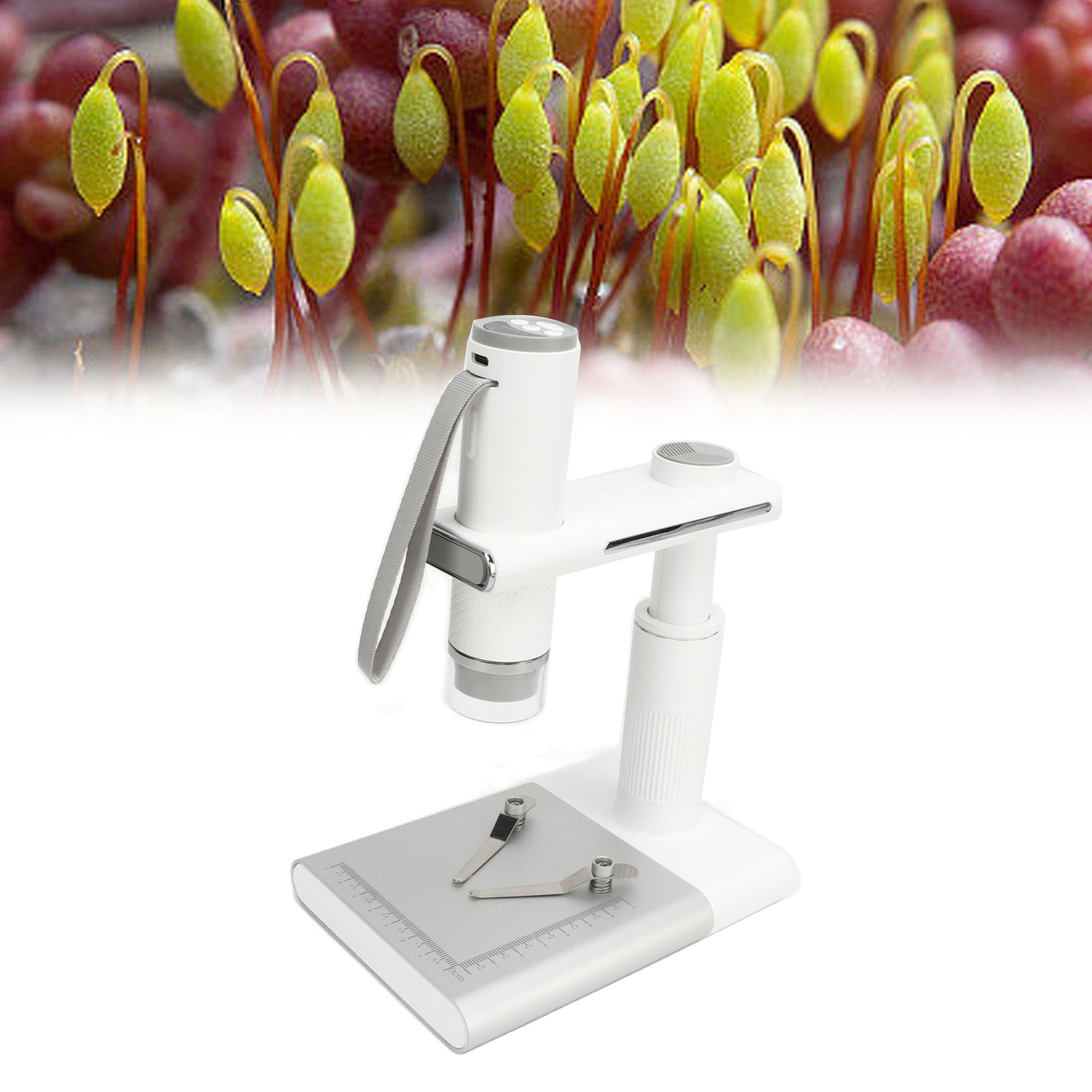 Microscopio digital USB inalámbrico 50-1000X aumento HD ANGGREK Otros ...