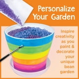 Creativity for Kids Magic Bean Garden Craft Kit – 3 Magic Bean Seeds ...