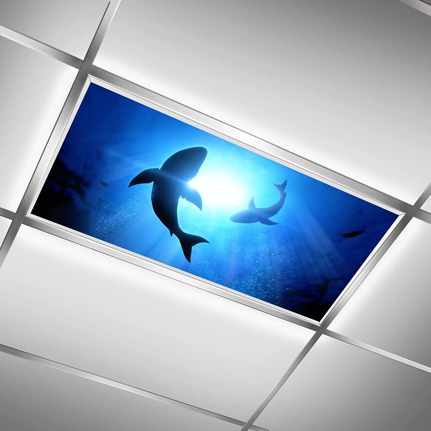 Fluorescent Light Covers for Ceiling Lights Classroom Office 4' x 2 ...