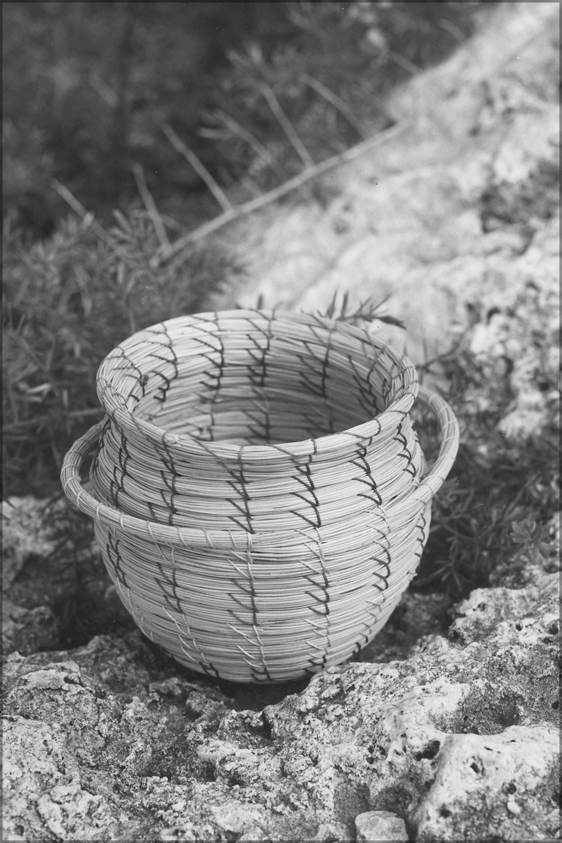 24"x36" Gallery Poster, Seminole Coiled Sweet Grass Button Basket ...