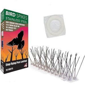 INTBUYING Stainless Steel Protection Against Bird Spines Bird-Repellent ...