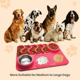 Zilly Slow Feeder Dog Lick Mat Food Grade Silicone with Bowl Spatula ...