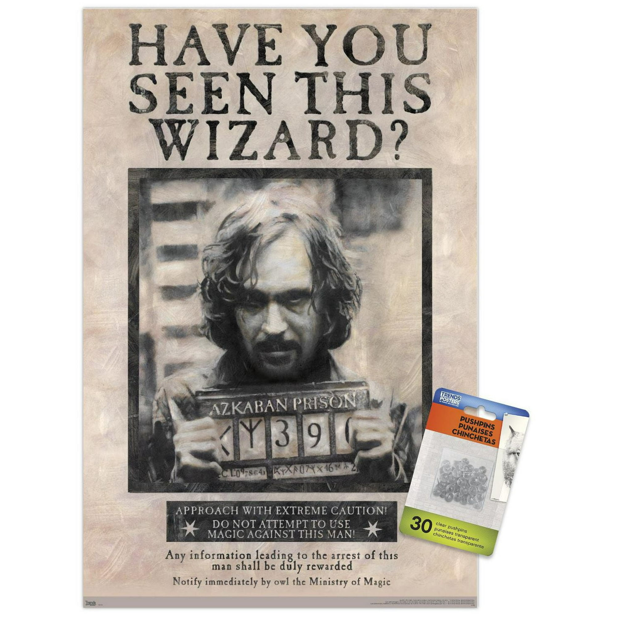 Click here for Trends International The Wizarding World: Harry Po... prices