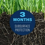 Bayer Advanced Grub Control Insecticide, Complete Soil & Turf Pest ...