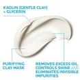 La-Roche-Posay Effaclar Shine Control Clay Face Mask 3.4 oz (100ml ...