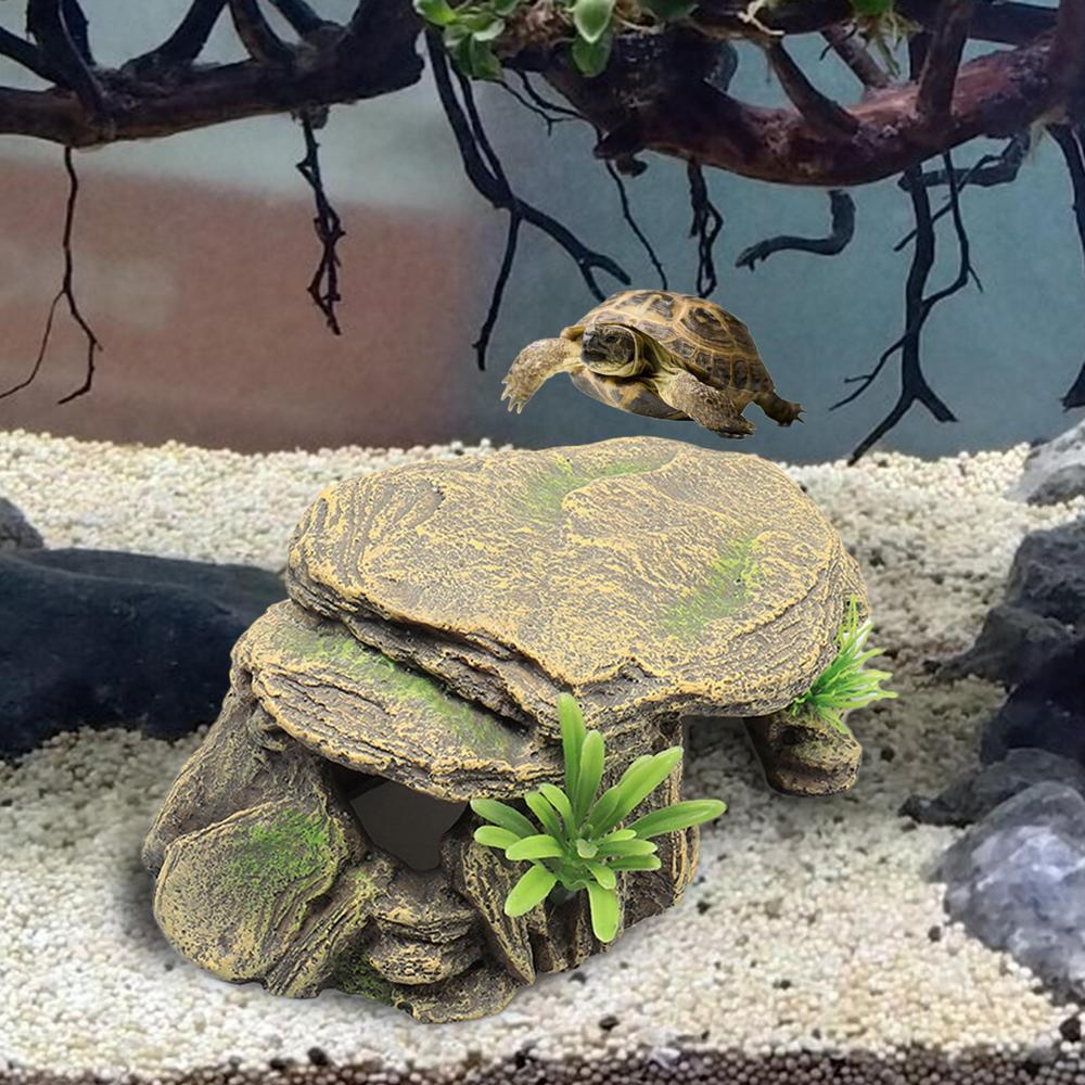 Star Turtle Tank Setup