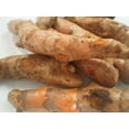 Back2Natural Fresh Products, Fresh Yellow Turmeric Root, 1lb, Raw ...