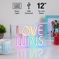 BrightSide Love Wins 12x7 Multicolor LED Neon Light Box USB-Powered ...