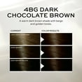 John Frieda Precision Hair color Foam Hair Color Kit, Brown Hair Dye ...