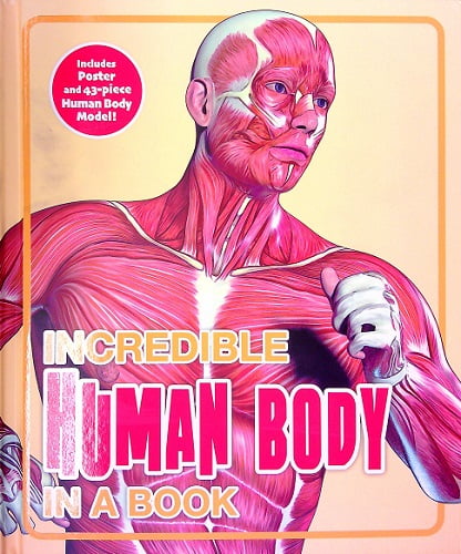 Incredible Human Body in a Book - Walmart.com