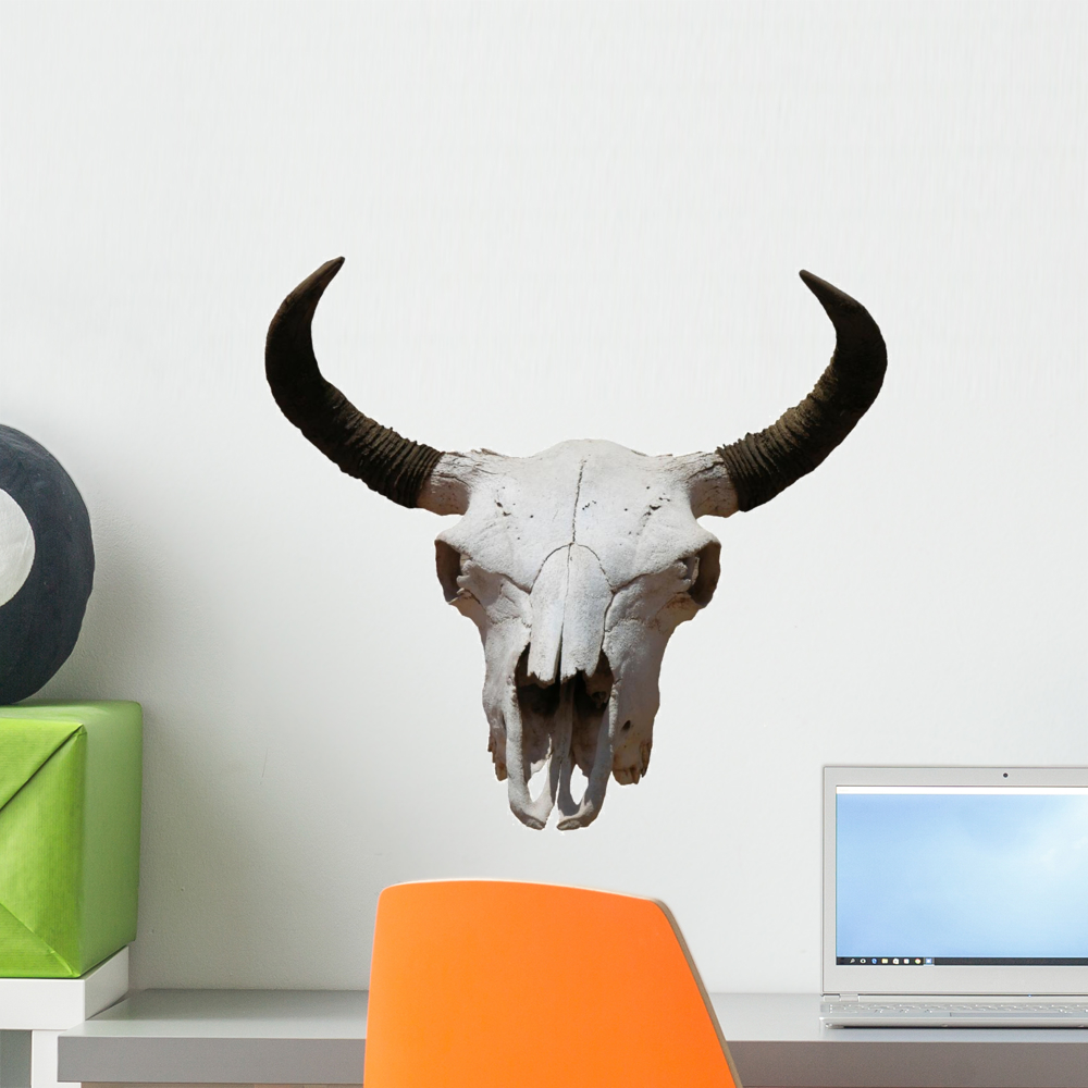 Southwest Icon Wall Decal by Wallmonkeys Peel and Stick Graphic (18 in ...