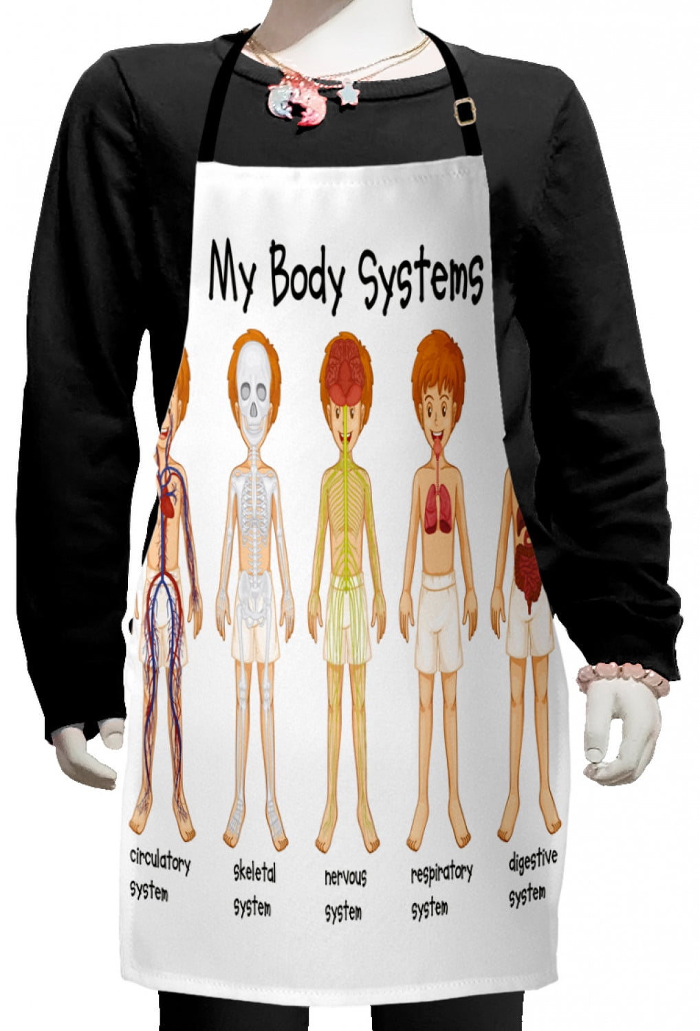 Educational Kids Apron, Different Systems in Human Nervous Skeletal ...