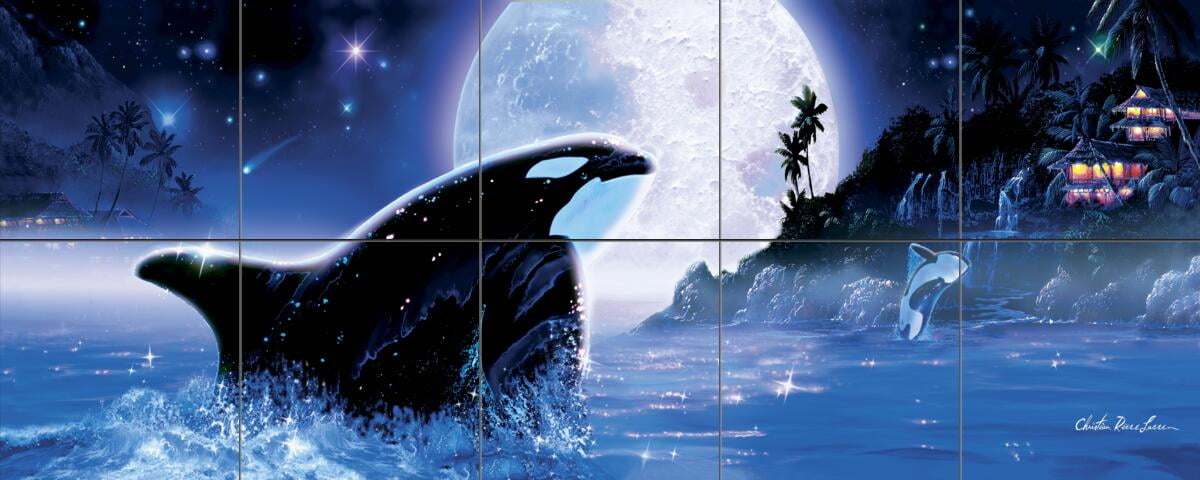 Tile Mural Bathroom Backsplash - Orca Moon ii - by Christian Riese ...