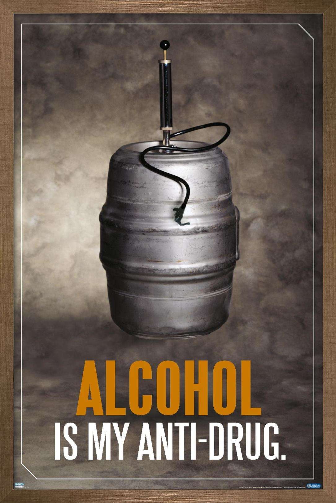 Alcohol - Anti-Drug Wall Poster, 14.725" x 22.375", Framed - Walmart.com