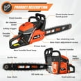 Datingday 62cc Gas Chainsaw, 3.5HP 12000 RPM Professional Handheld ...