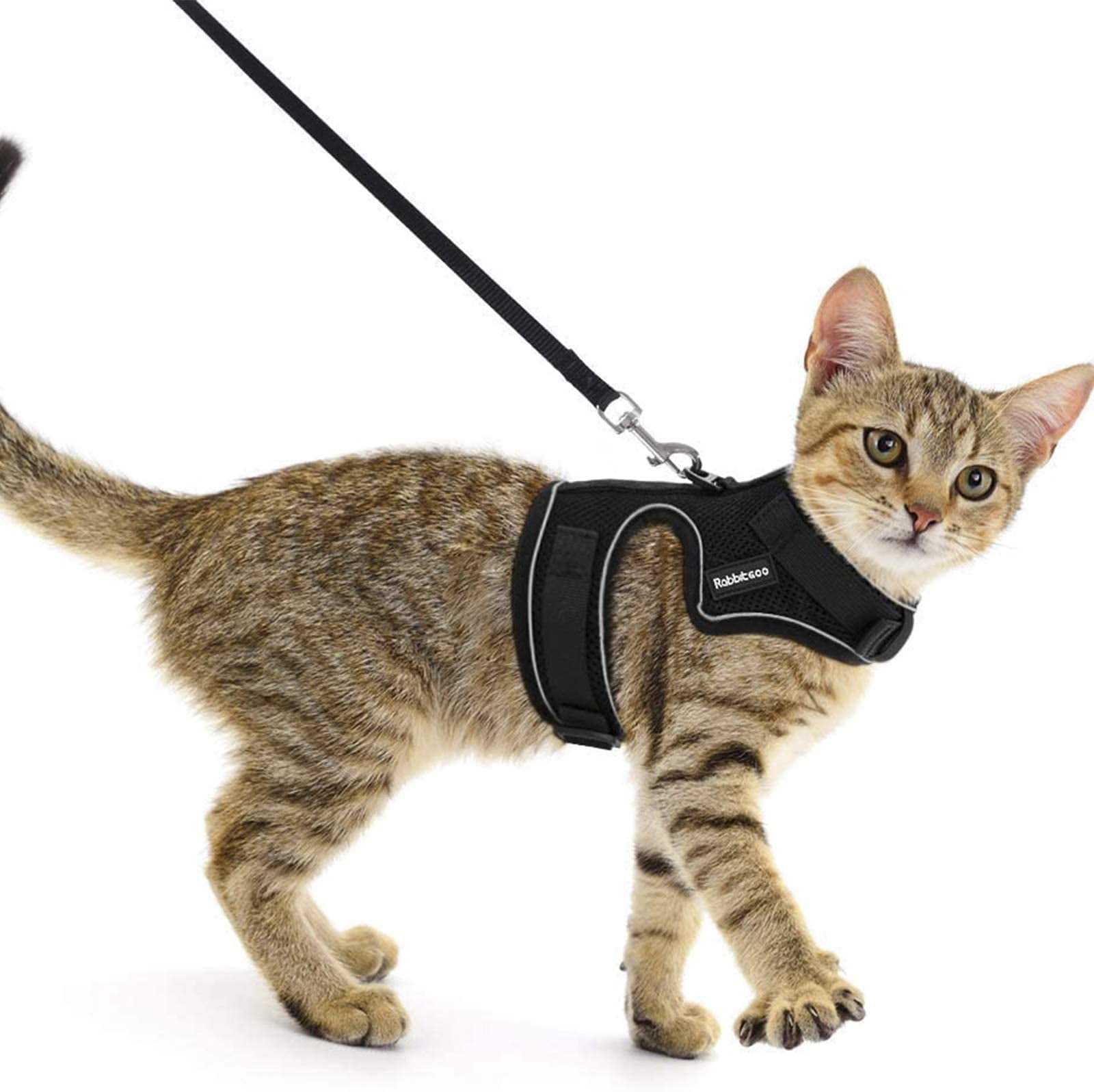 Pet Supplies Escape proof Butterfly Cat Jackets Light Blue Fleece ...