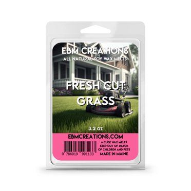 Honeysuckle Jasmine - Scented All Natural Soy Wax Melts - 6 Cube ...