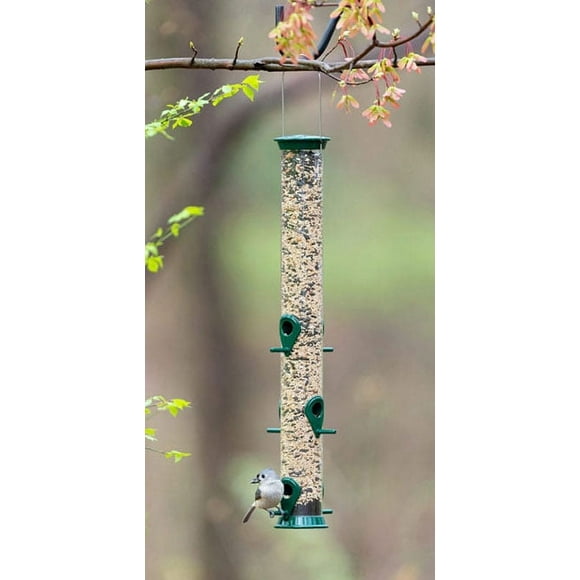 Droll Yankees Yankee Squirrel Proof Bird Feeder