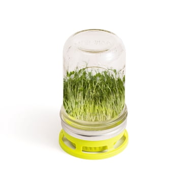 Handy Pantry Sprout Garden 3-tray Sprouter- SG.52 - BPA Free Stackable ...