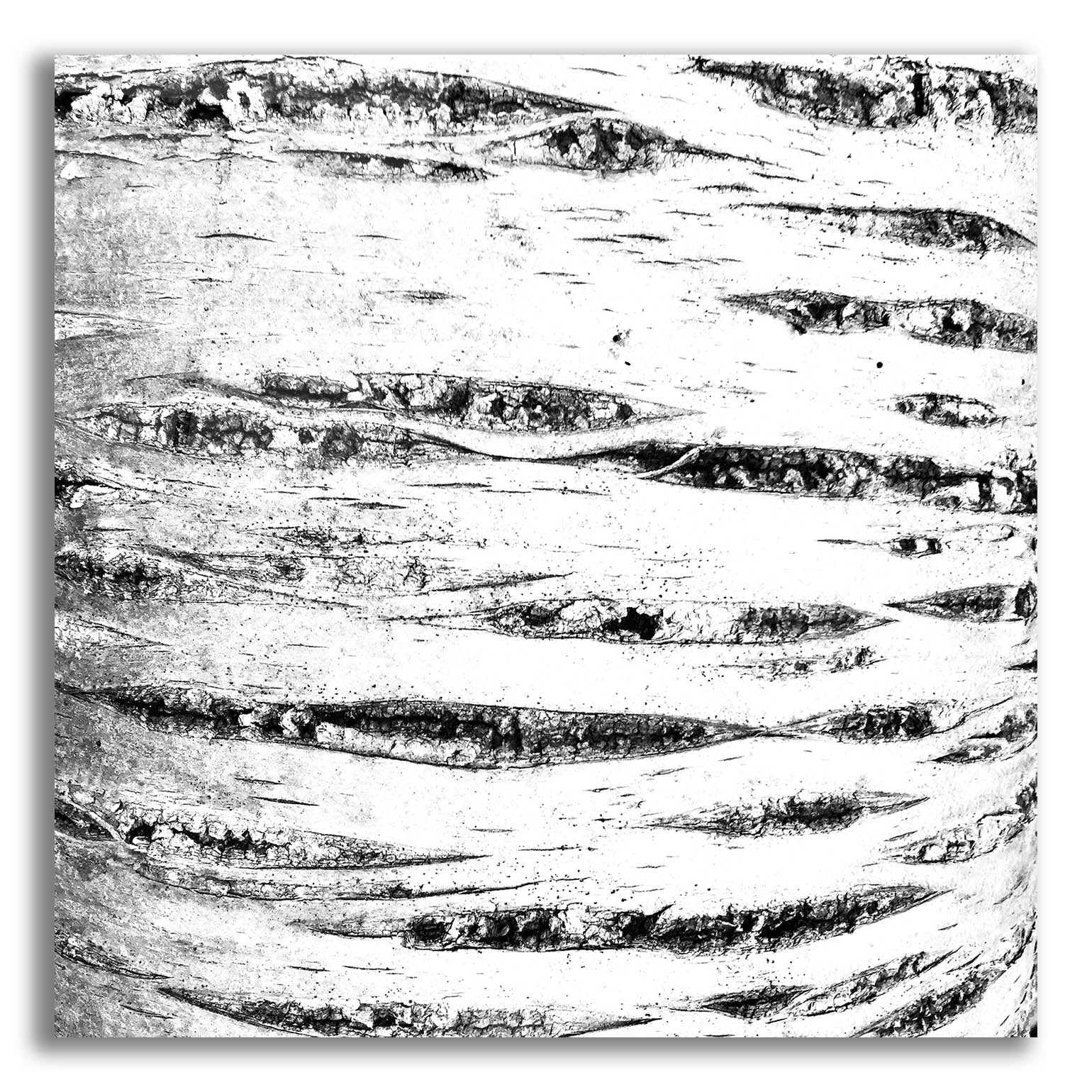 Epic Art 'Future Canoe' by IMB, Acrylic Glass Wall Art, 12"x12 ...