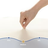 SynthoSpace Twin Size Mattress, 6 inch Memory Foam Mattress in a Box ...