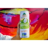 Jarritos Coconut Water With Pulp, 17.5 fl oz (520 ml) Can , 1 Count - Walmart.com
