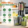 Cold Press Juice Extractor, Slow Masticating Juice Extractor, 350 Watt ...