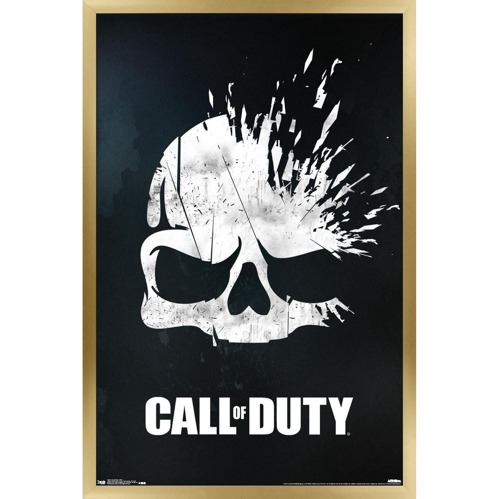 Click here for Trends International Call Of Duty - Skull Wall Pos... prices