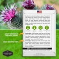 2 Packs Burdock Root Seed - Gobo - Non-GMO Heirloom Biennial Full Sun ...