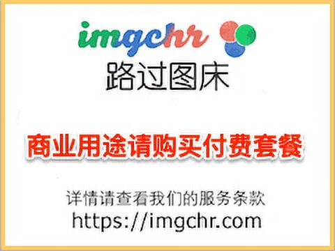 Happy date 2Packs Artificial Flowers Real Looking Fake Ball ...