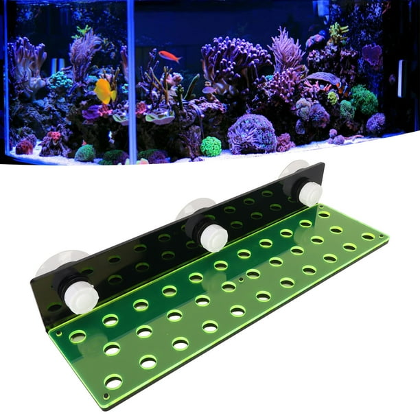 Fish Coral Holder, Metal Free Screws Powerful Suction Cup Coral Frag ...