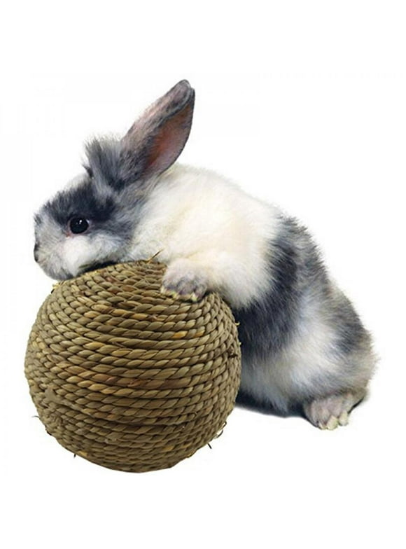 Rabbits in Pets - Walmart.com