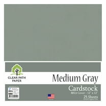 Mirror Steel Gray Cardstock - 12 x 12 inch - .012" Thick - 10 Sheets ...