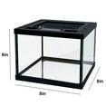 Mini Reptile Glass Terrarium Tank 8 * 8 * 6" Full View, Amphibians Box ...