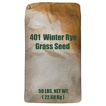Winter Rye Seeds - 25 Lbs Bulk - Non-GMO Rye Grain Cover Crop Seeds ...