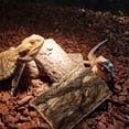 UPGRATOR 5Pcs Natural Cork Bark Reptile Tree Bark Background for Turtle ...