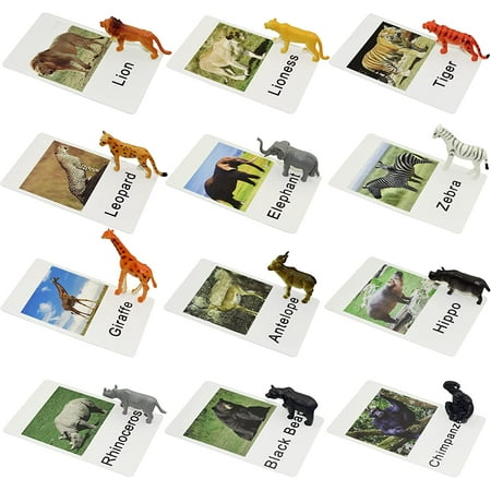 Animal Toys with Flash Cards - 12 Sets of Realistic Animal Figures ...